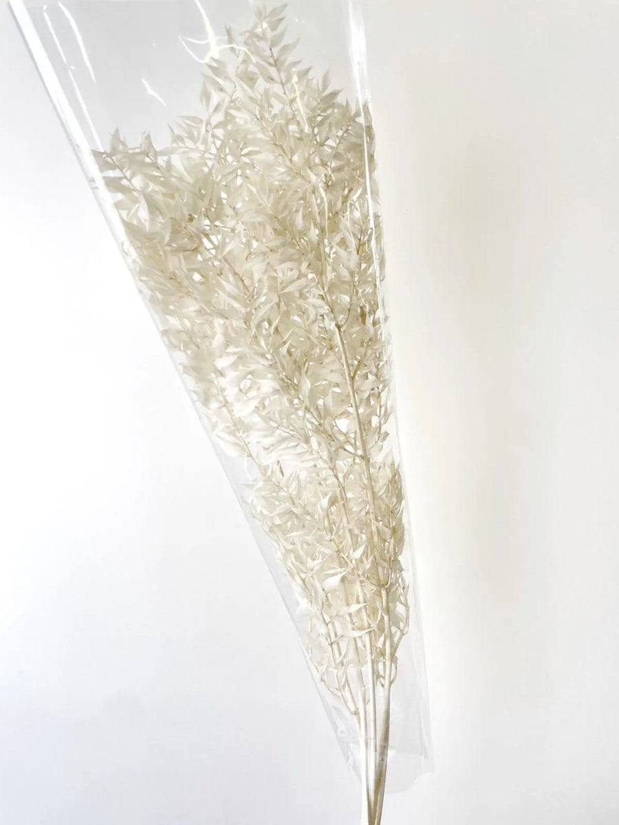 Ruscus Italian Bleached 80cm: The Perfect Addition to Your Decor ...