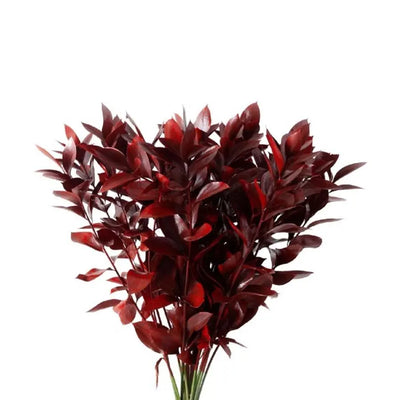 Dried and Painted - PetalDriven