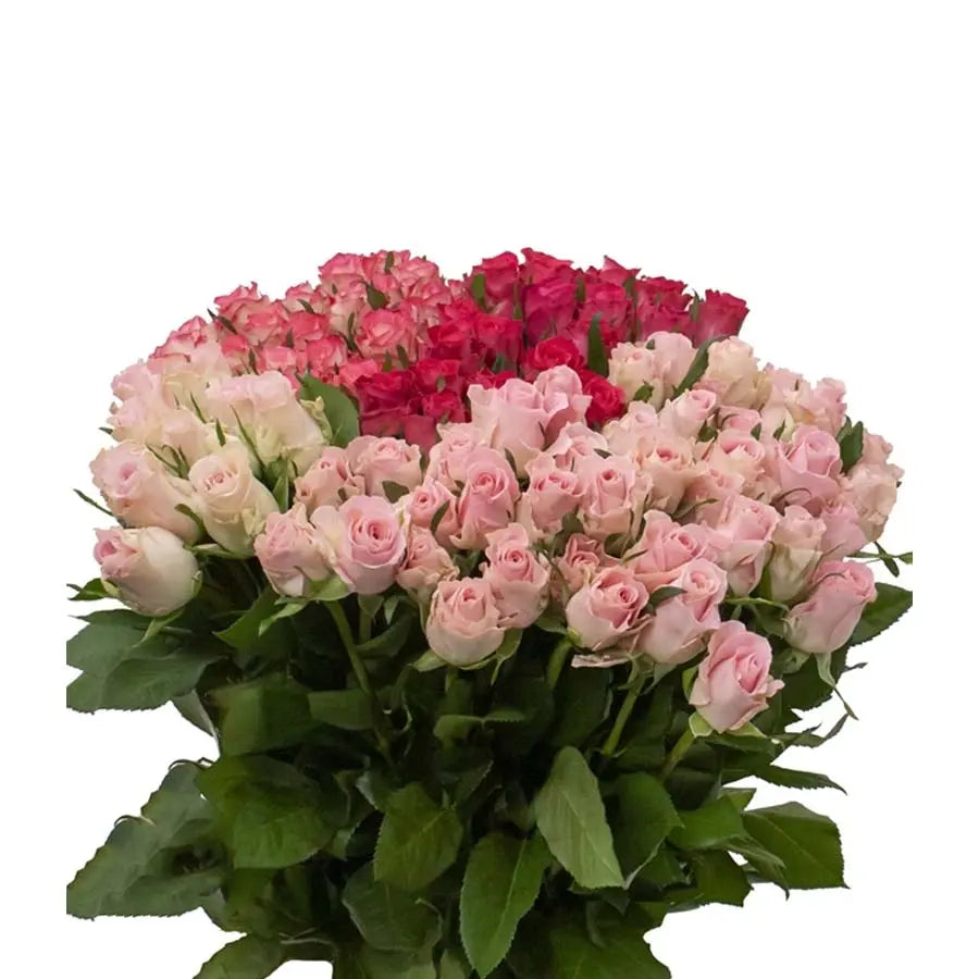 Spray Rose Pink Assorted - 100 Stem Box - PetalDriven