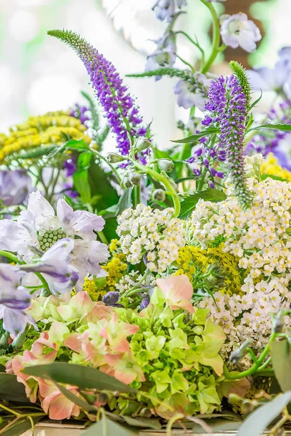 Grace In This Space PetalKit - Includes Tutorials - PetalDriven